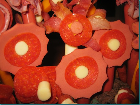 Carnivorous Creations | Grasping for Objectivity